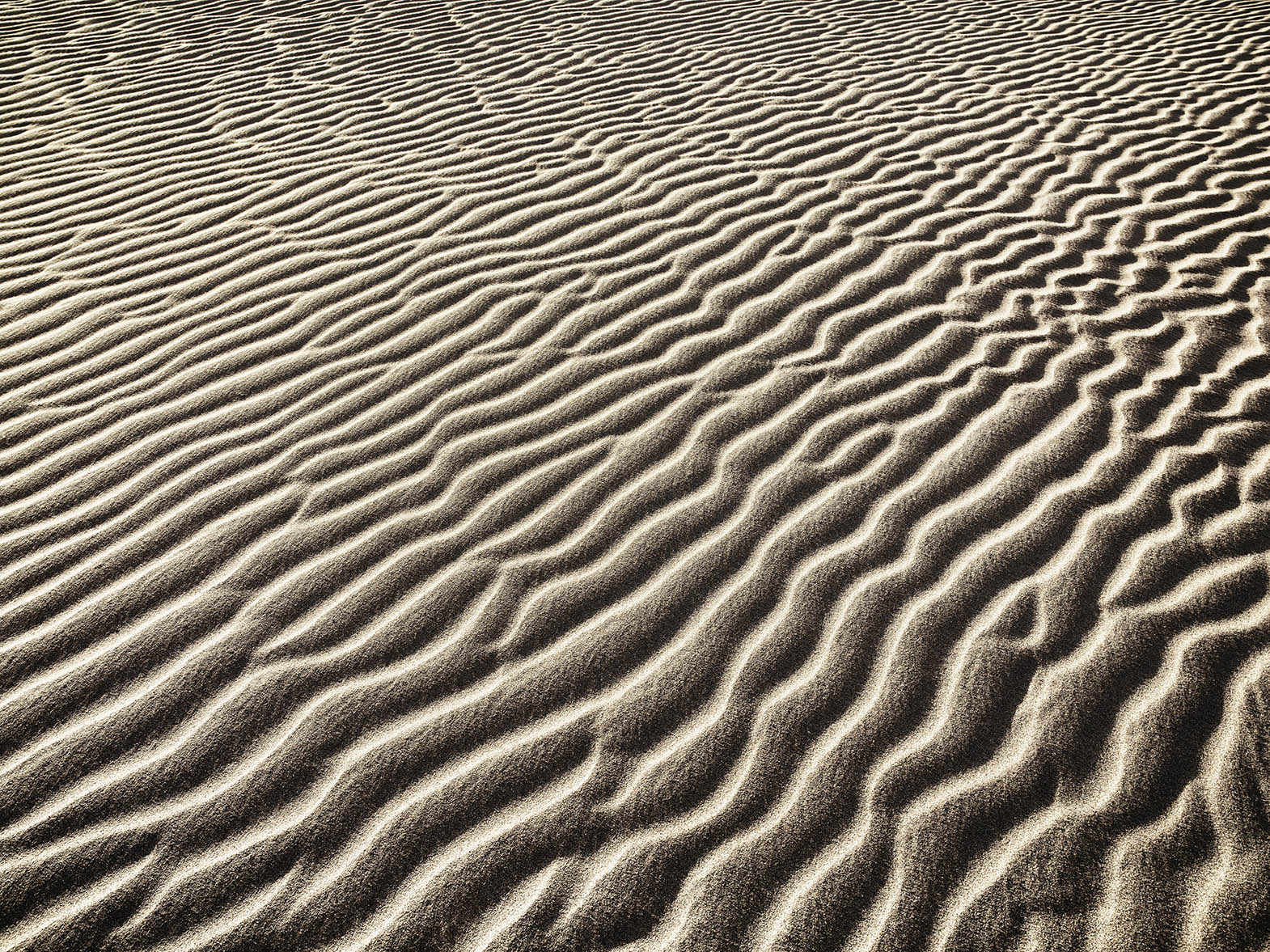 Repetition In Nature